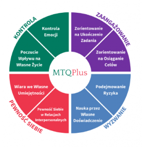 Test MTQ Plus z omówieniem - Sklep Heksagon - Rozwijaj się z nami!